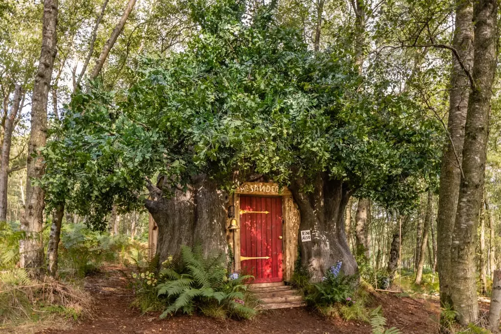 Ngôi nhà trên cây Winnie the Pooh này là nơi nghỉ ngơi hoàn hảo trị giá 105 đô la cho những người hâm mộ Disney
